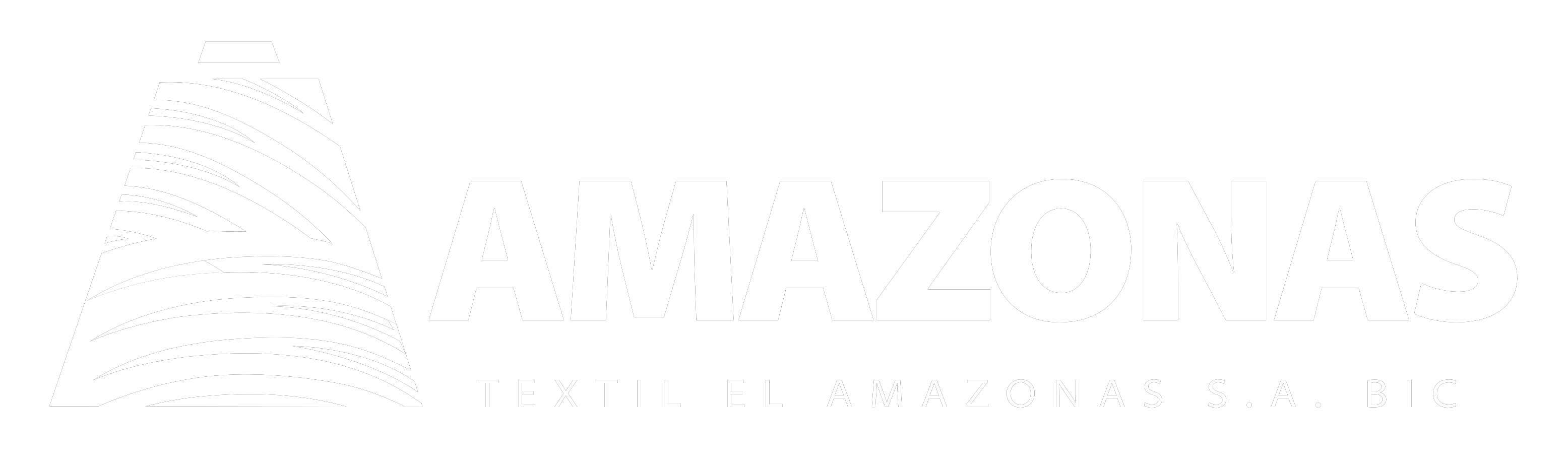 Home [www.textilelamazonas.com]